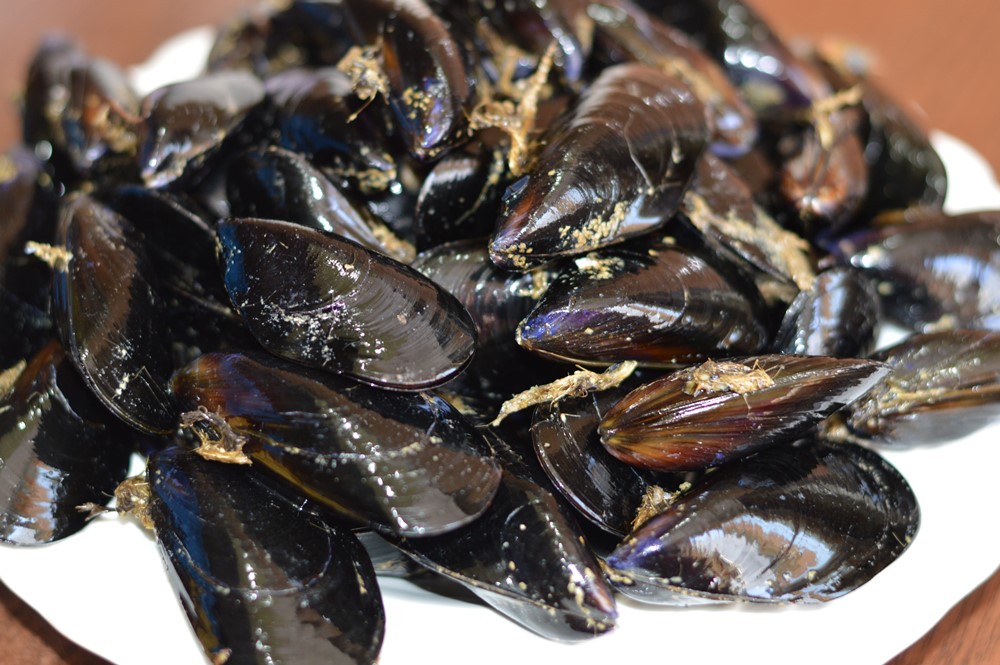 Midii in sos de vin - CAIETUL CU RETETE