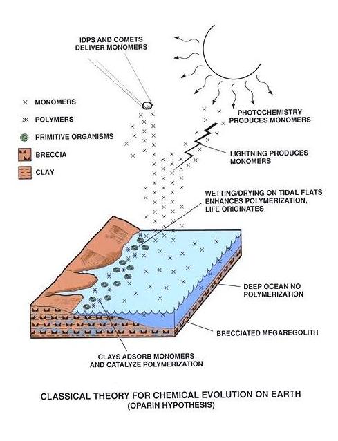 Chemical evolution on primitive earth| World of science