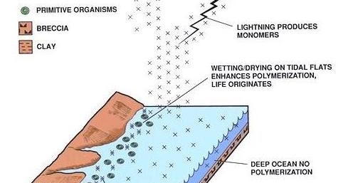 Chemical evolution on primitive earth| World of science
