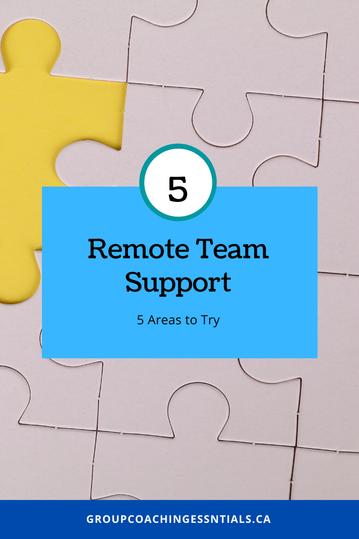 Group Coaching: Ins and Outs: Remote Team Support - 5 Areas