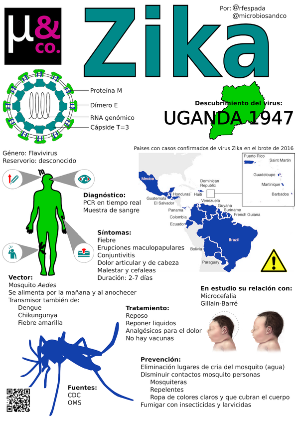 ZONA DE SALUD DE OFRA: Microbios&co. Virus Zika.