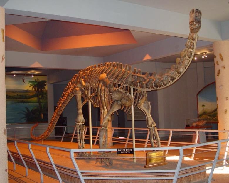 Variety of Life: May 2014