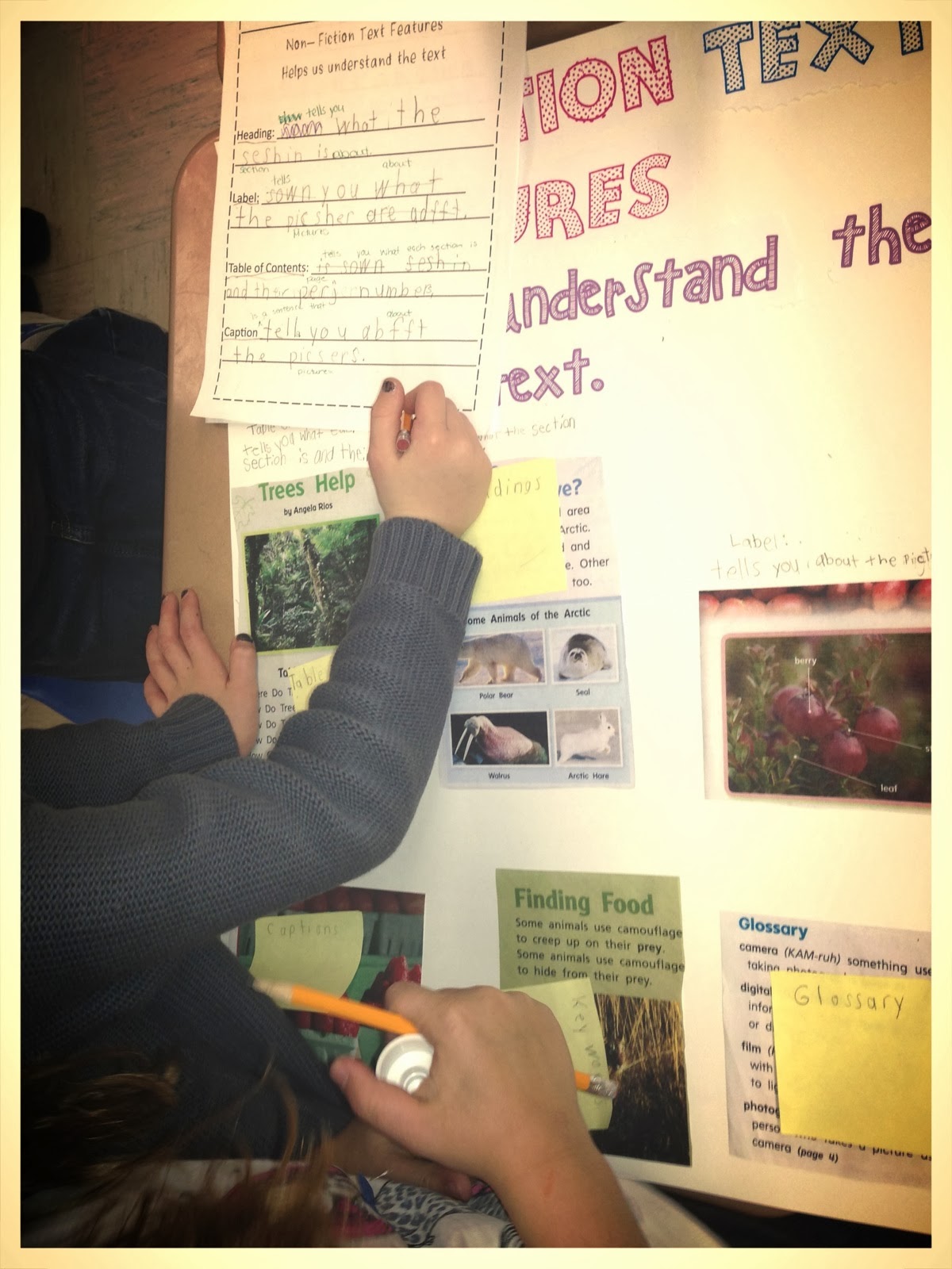 Thrills and Frills in First: Non-Fiction Text Features and a Freebie