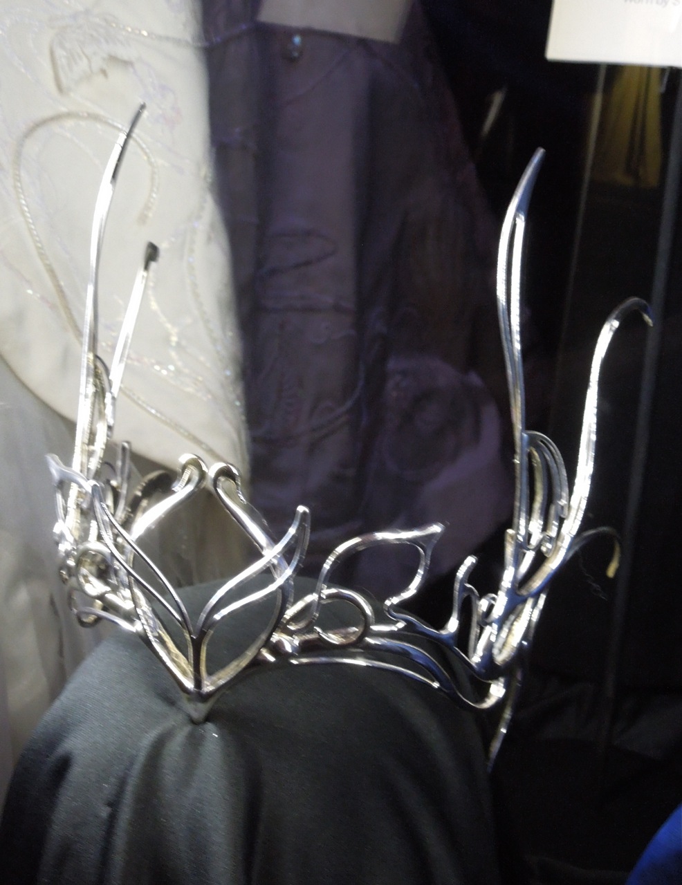 Evil Queen Narissa costume worn by Susan Sarandon in Enchanted on ...