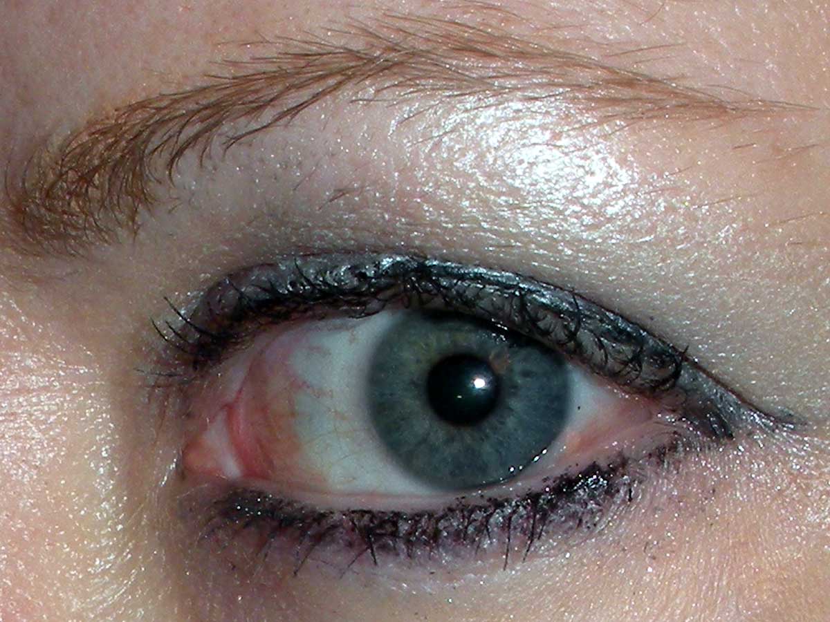 NYC eye primer and shadow review