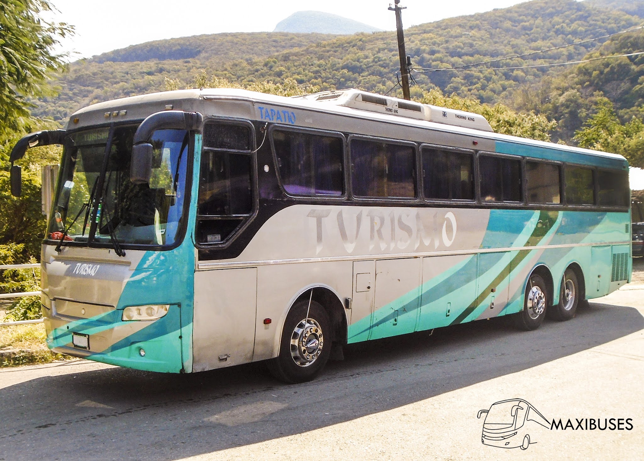 MAXIBUSES: AUTOBUS TURÍSTICO (TURISMO)