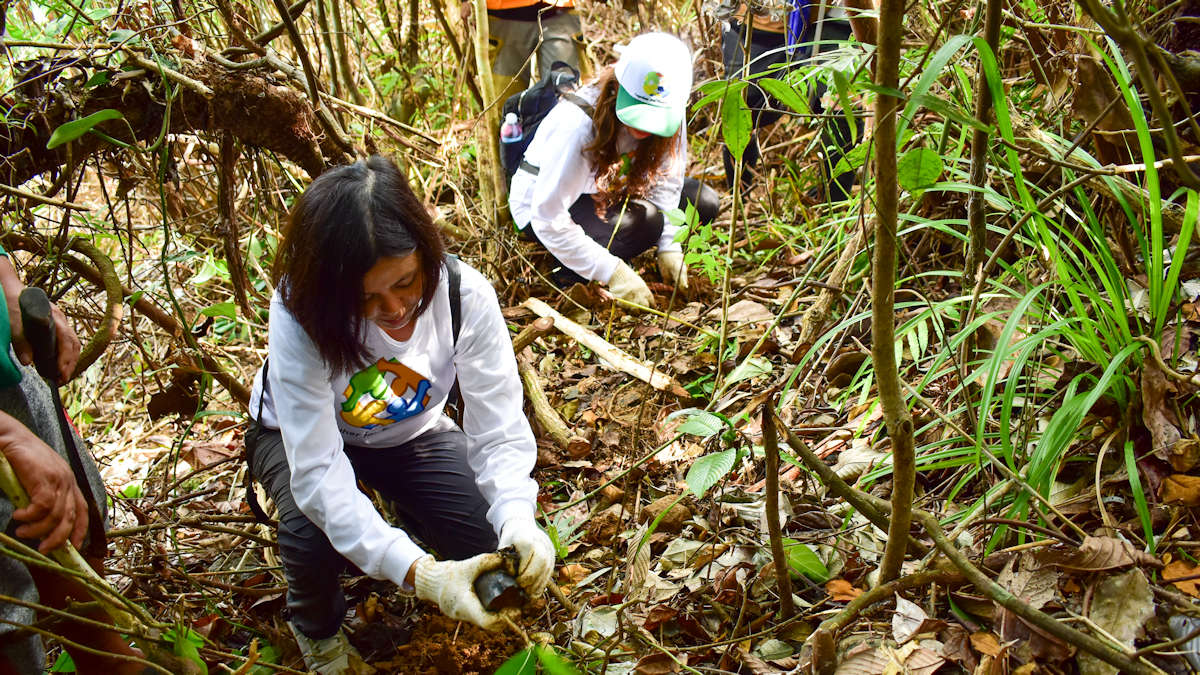 Honda’s 10th Year of Reforestation Efforts Continue With 5,000 Trees ...