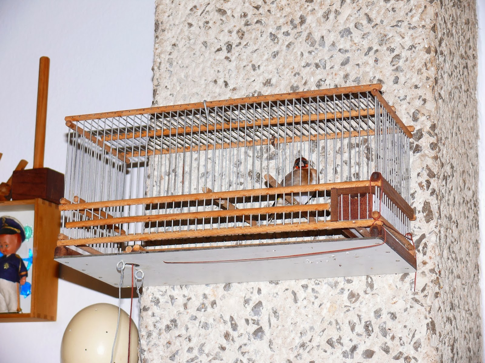 Doug Mackenzie Dodds - Images | The "charming" bird. By Keats, Raphael ...