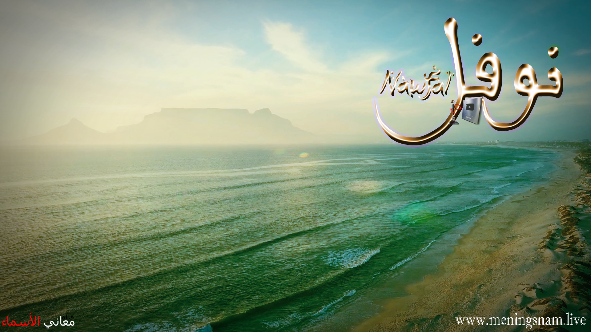 معنى اسم نوفل وصفات حامل هذا الإسم Nawfal - معاني الأسماء ومعاني ...