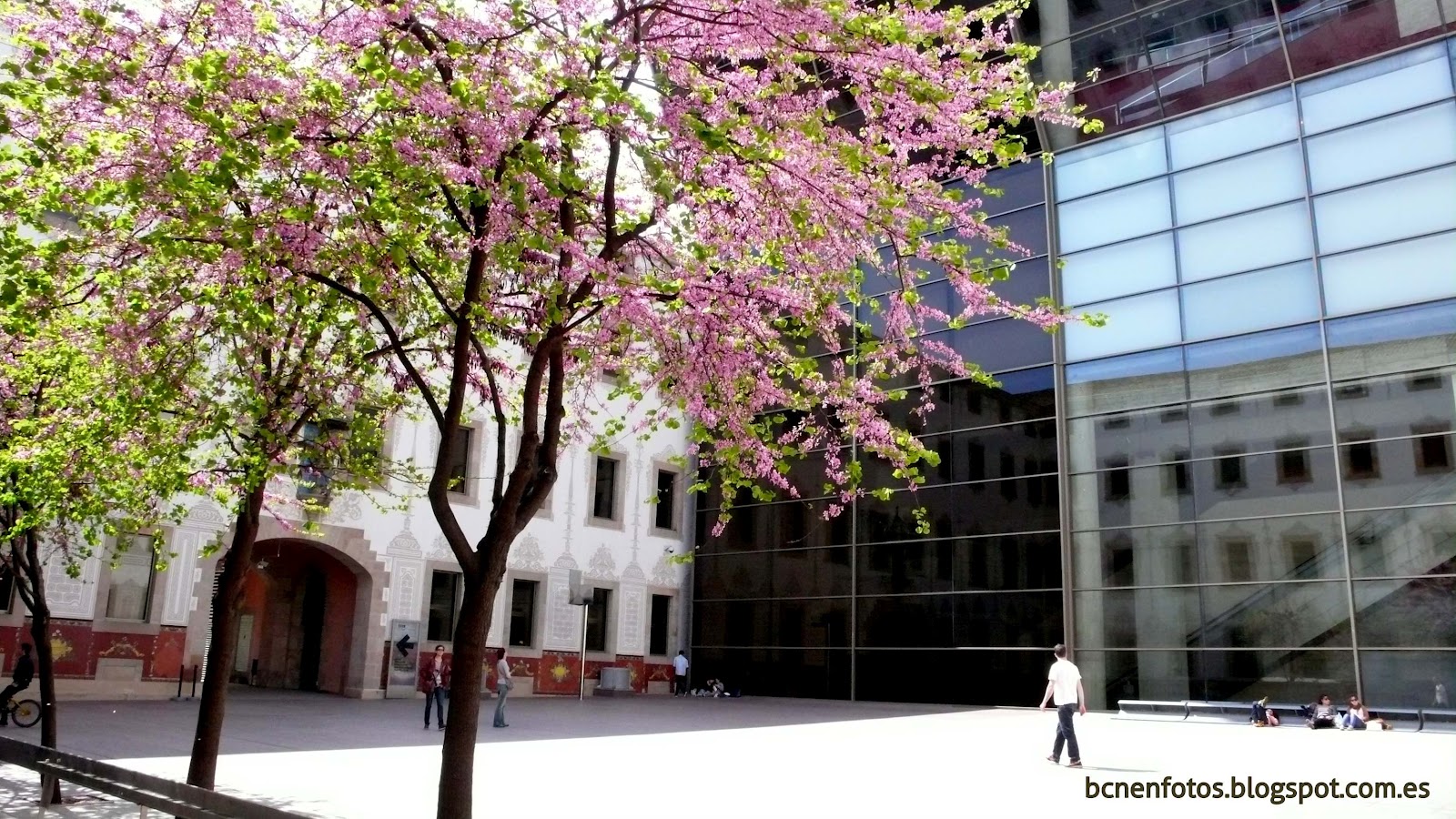 Mi Barcelona: Casa de la Caridad (II). CCCB y MACBA