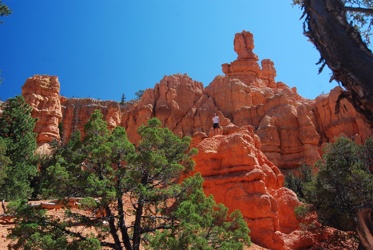 Etats-Unis - Red Canyon State Park, Utah - Les routes de tous les voyages