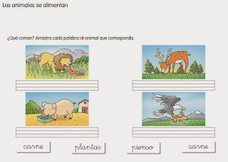 Blog de 1º CEIP San Juan de Ribera Bornos: U 4 Ciencias Naturales Los ...