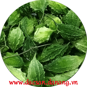 Khổ qua rừng - giúp thanh nhiệt cơ thể, tiêu độc