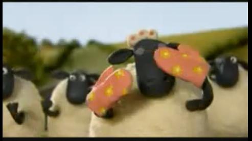 Video Shaun the sheep-off the baa | VIDEO SHOOTING