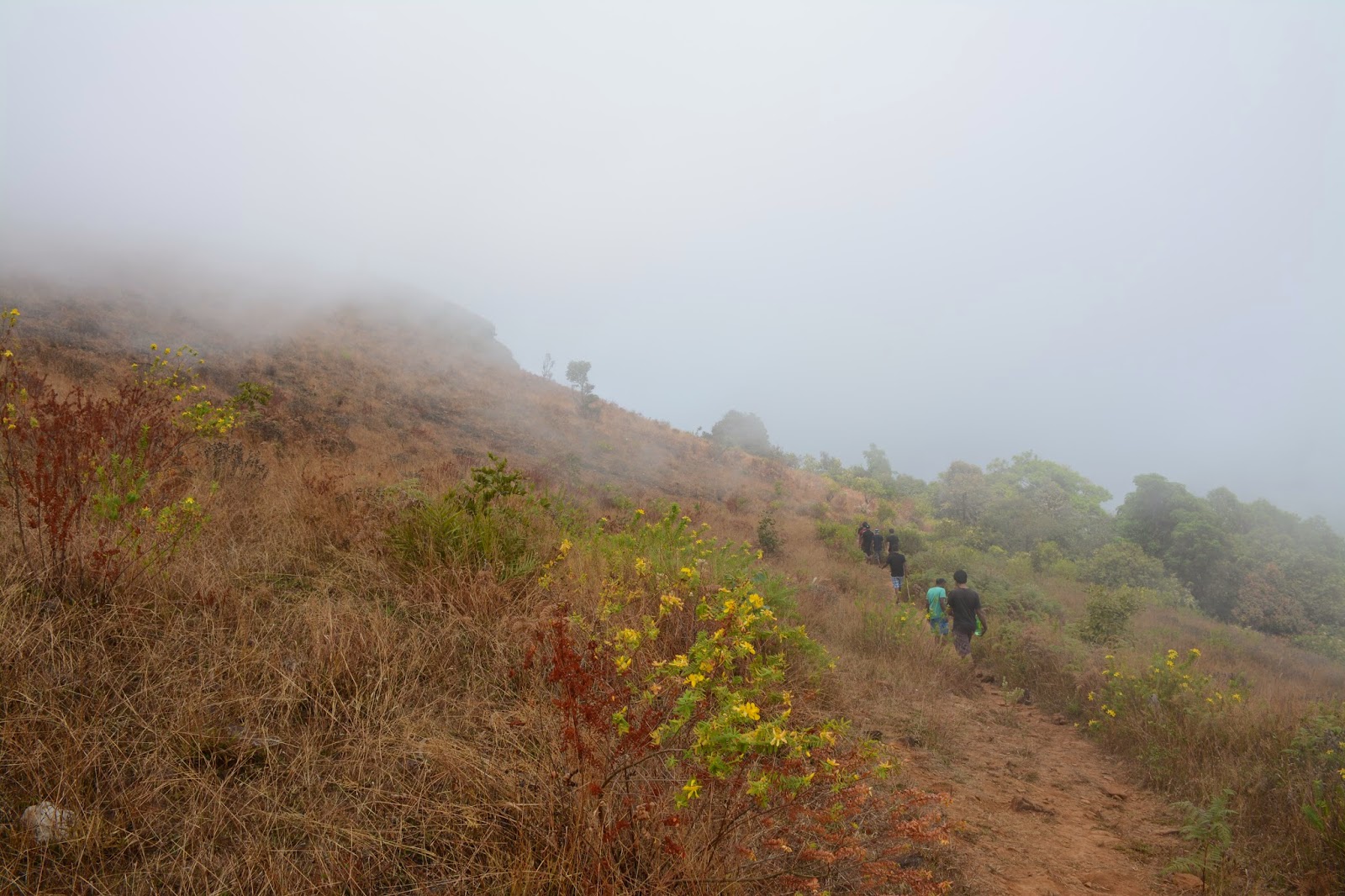 Our Travel Tales: Trek to Ballarayanadurga Fort