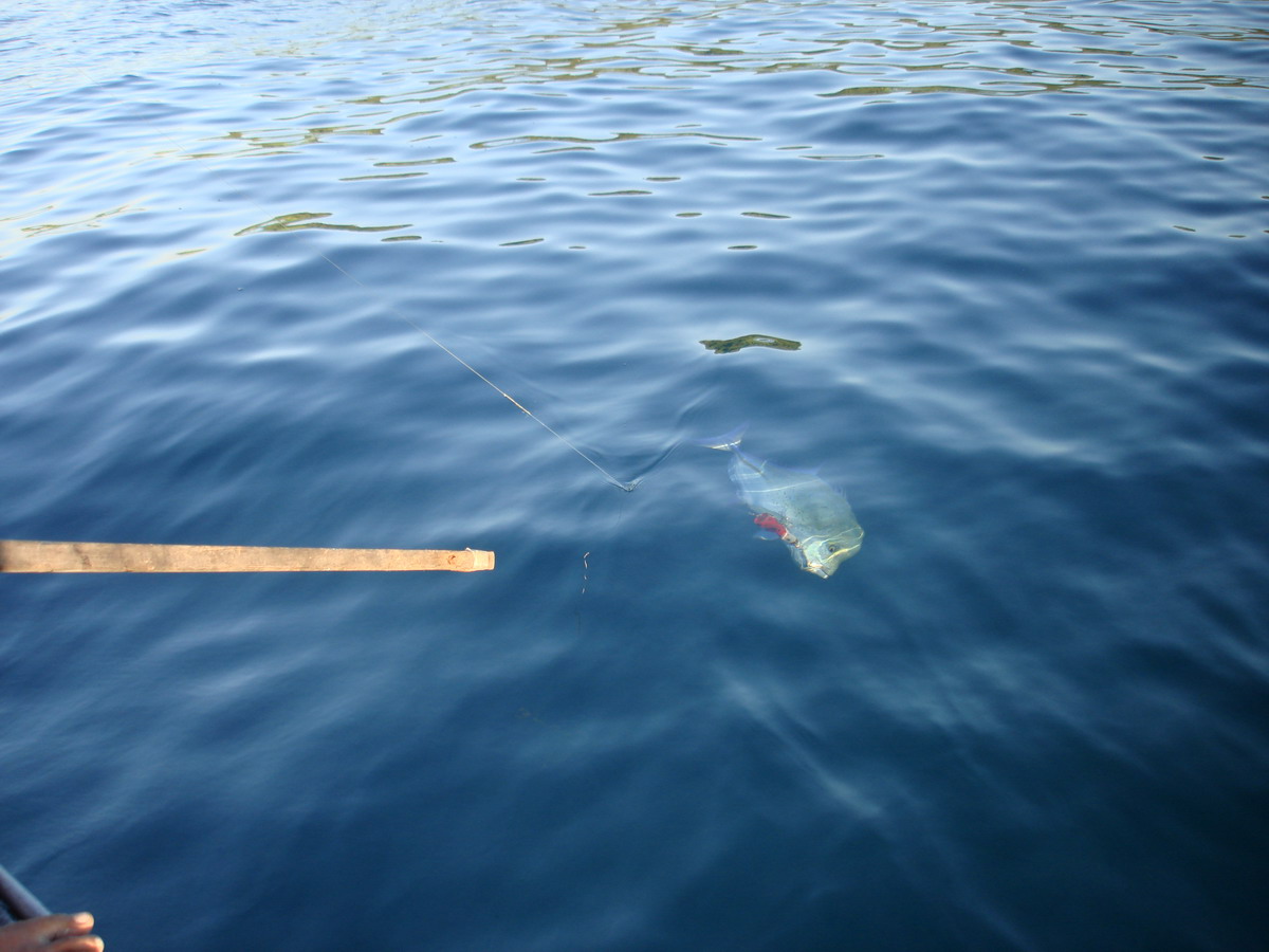 Fishing atau memancing dan sewa boat di padang sumbar: Awas lepas!