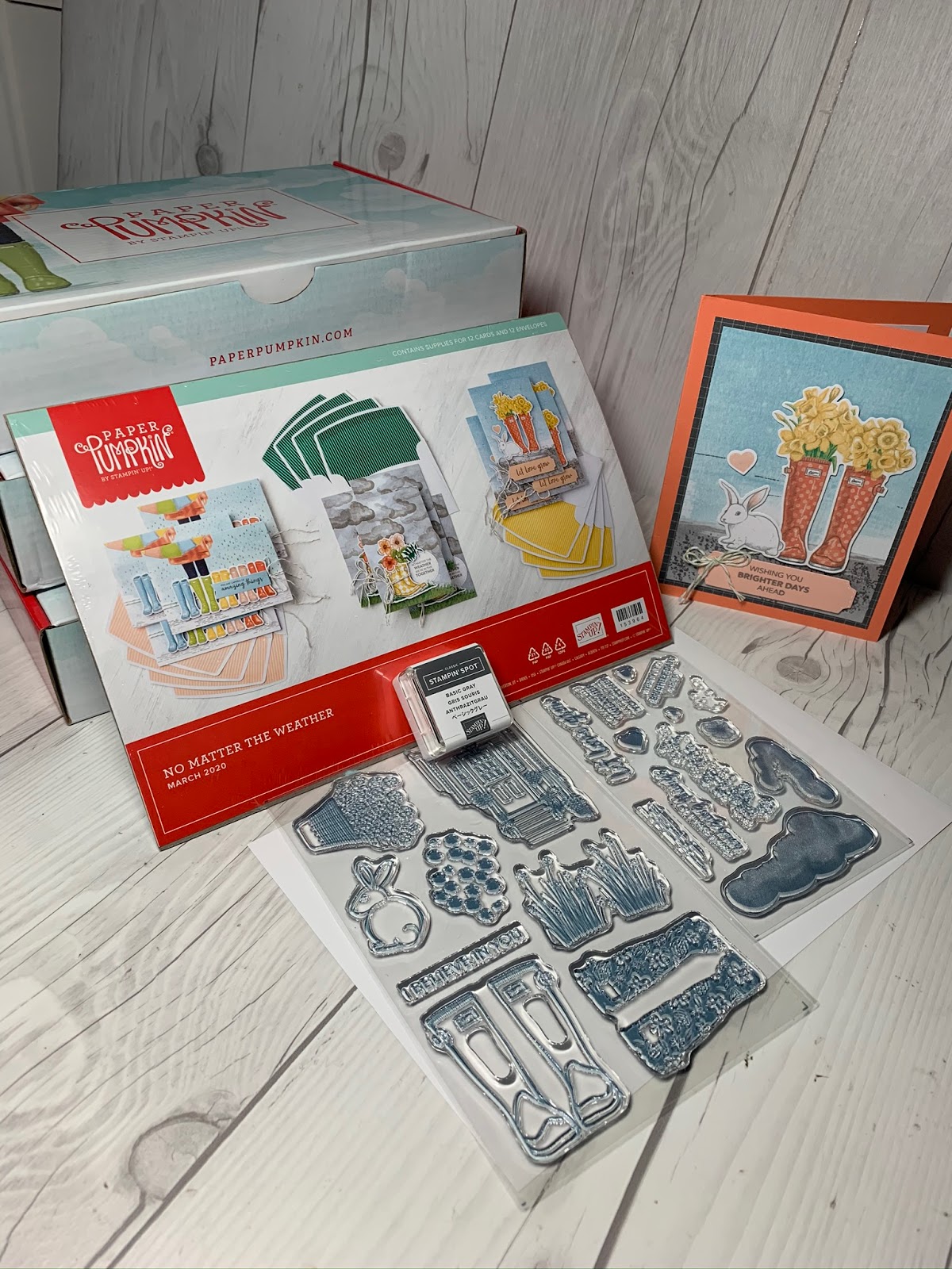 Alternative card made using the March 2020 Paper Pumpkin Kit | Stamped ...