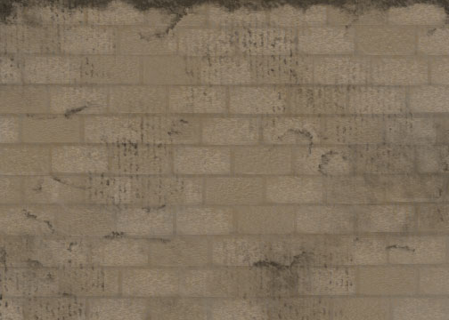 Kristen Animation: basement texturing!