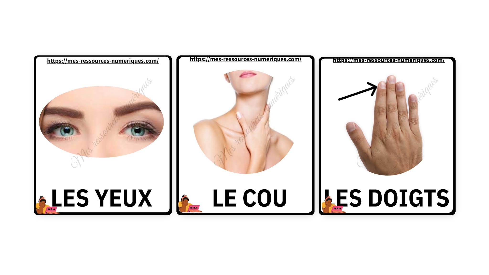 TÉLÉCHARGE CARTES NOMENCLATURE - LES PARTIES DU CORPS HUMAIN - IMAGES ...