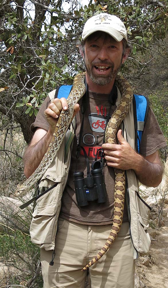Birdernaturalist: The Biggest Gopher Snake EVER