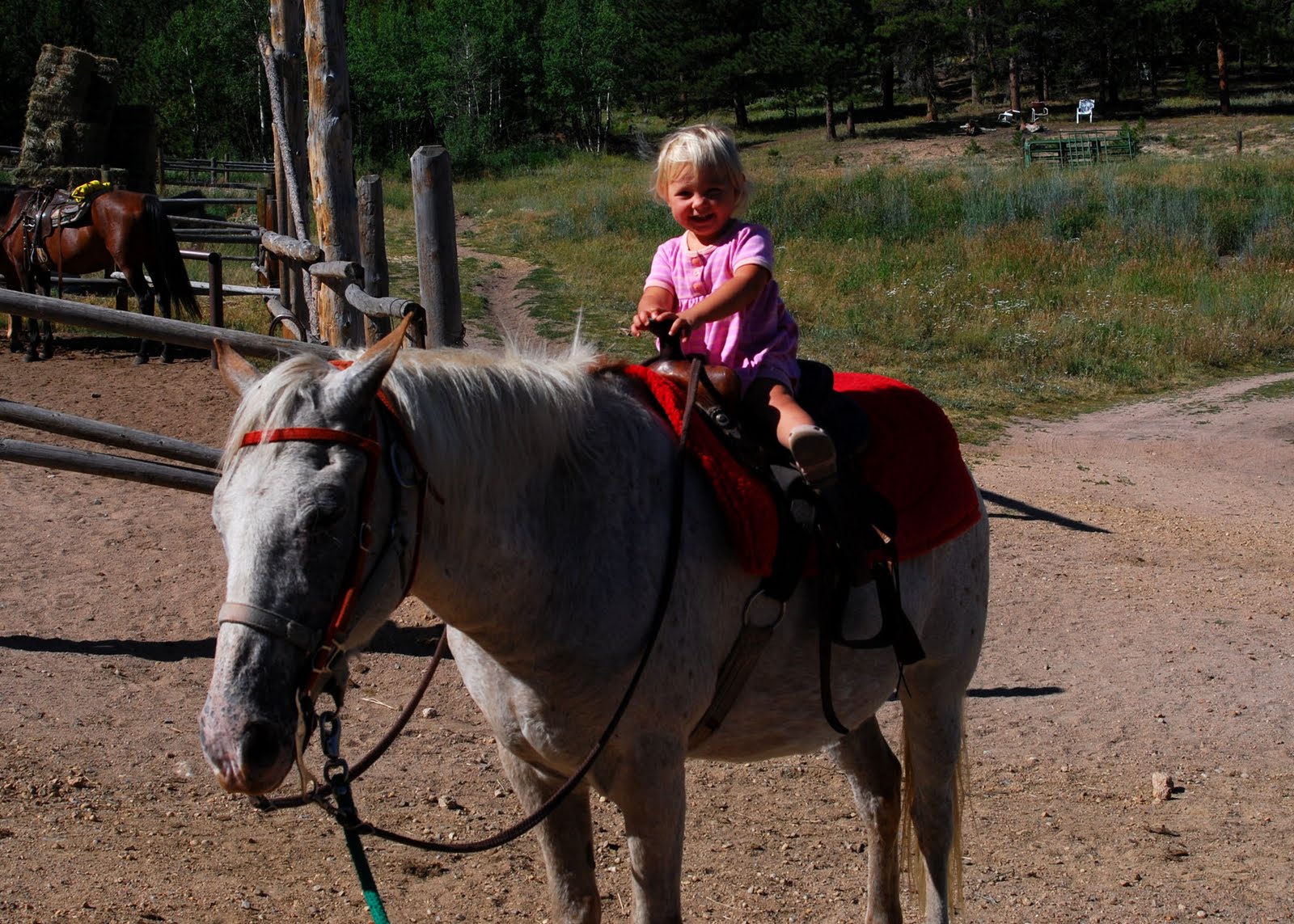 Magnolia and Boothe: Lane Guest Ranch