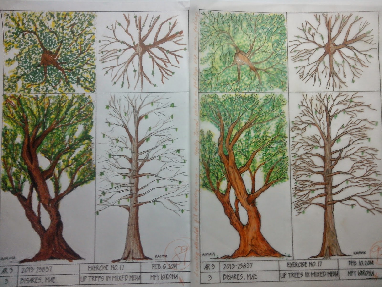 The Journey of an Aspiring Architect: Rendering Trees Using Markers