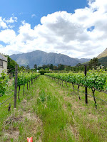 Nicole SteppingOut: Nicole Stepping Out visits Colmant Cap Classique ...
