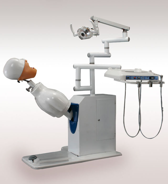 TYPODONT JAWS AND TEETH: PHANTOM HEAD SIMULATOR MODEL-MOTORIZED