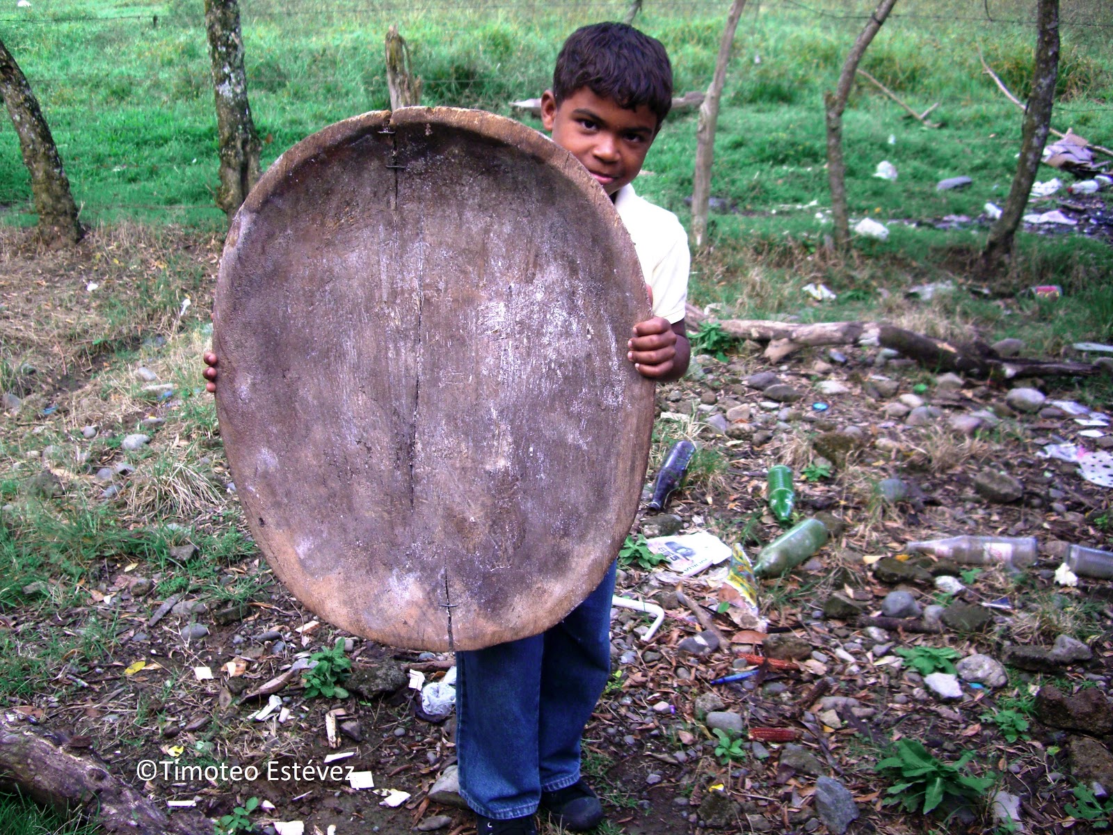 Las bateas que se olvidan | Con mi Nokia en la mano.