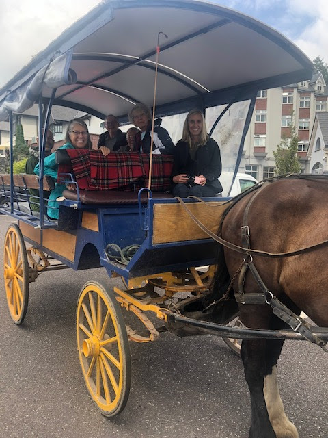 Andra & Steve's Journey: Jaunting Carts, Killarney, Ireland (Friday ...