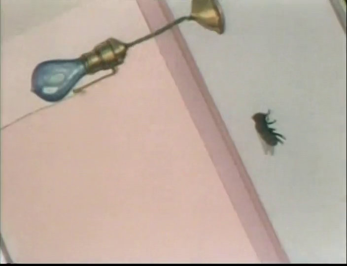 Supervised By Fred Avery: Tex Avery's Warner Brothers Cartoons: The Bug ...