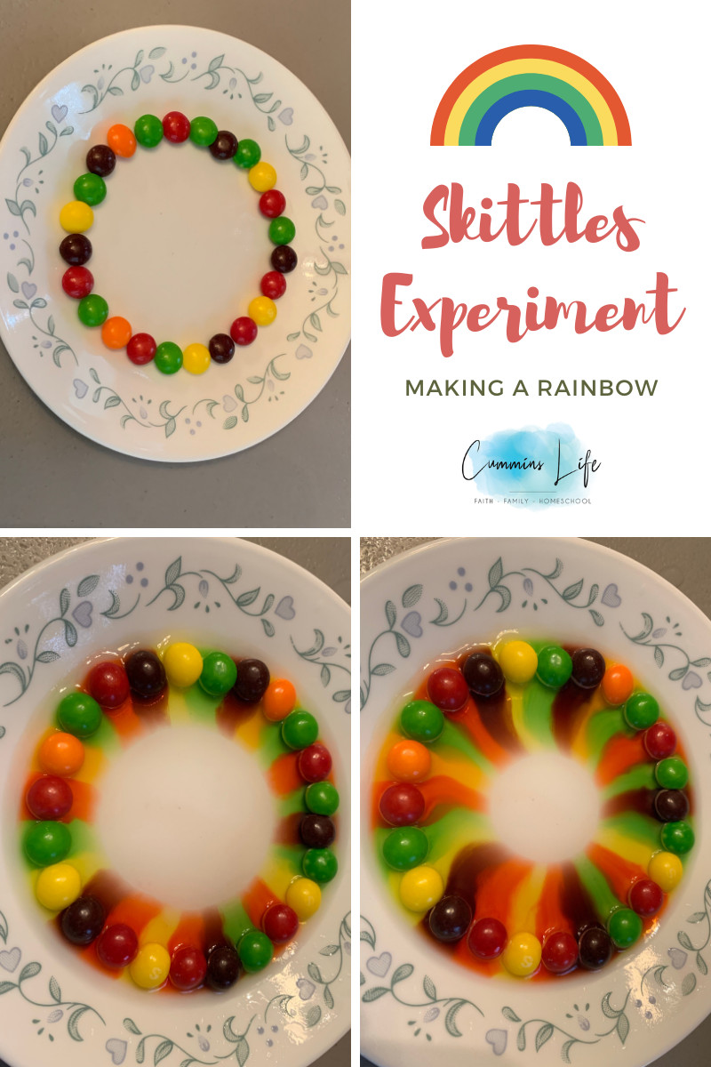 Cummins Life: Science Fun with Skittles {Rainbow Experiment}
