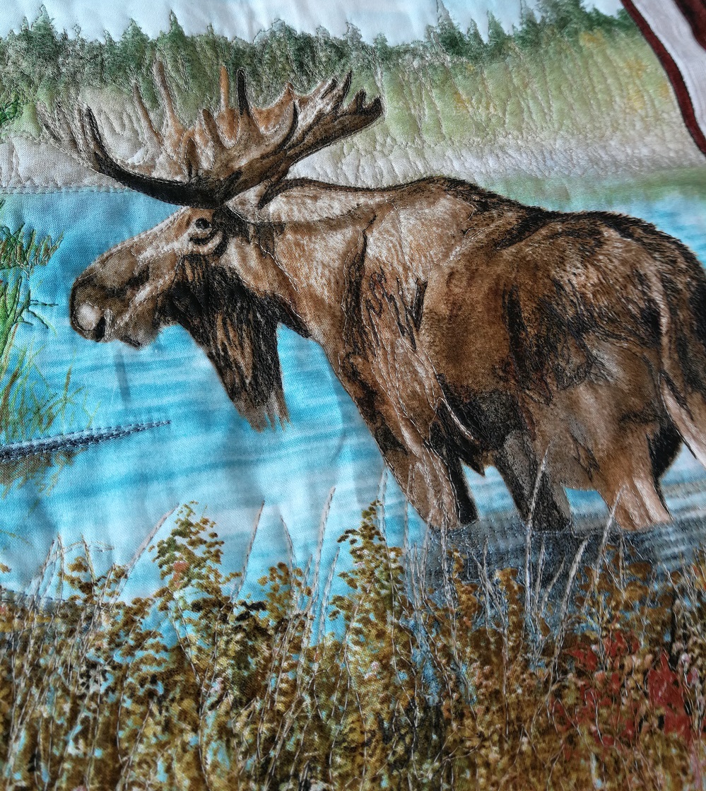 Quilting & Learning - What a Combo!: Moose panel with Free Motion Mavericks