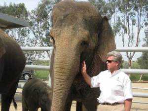 Water For Elephants - The Movie