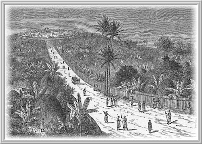 S T R A V A G A N Z A: AGRICULTURAL CHANGE IN THE ANCIENT EQUATORIAL ...