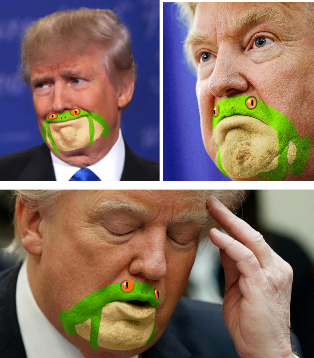 Berge's Cartoon Blog: Pepe, Meet President Frog