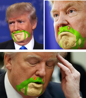 Berge's Cartoon Blog: Pepe, Meet President Frog
