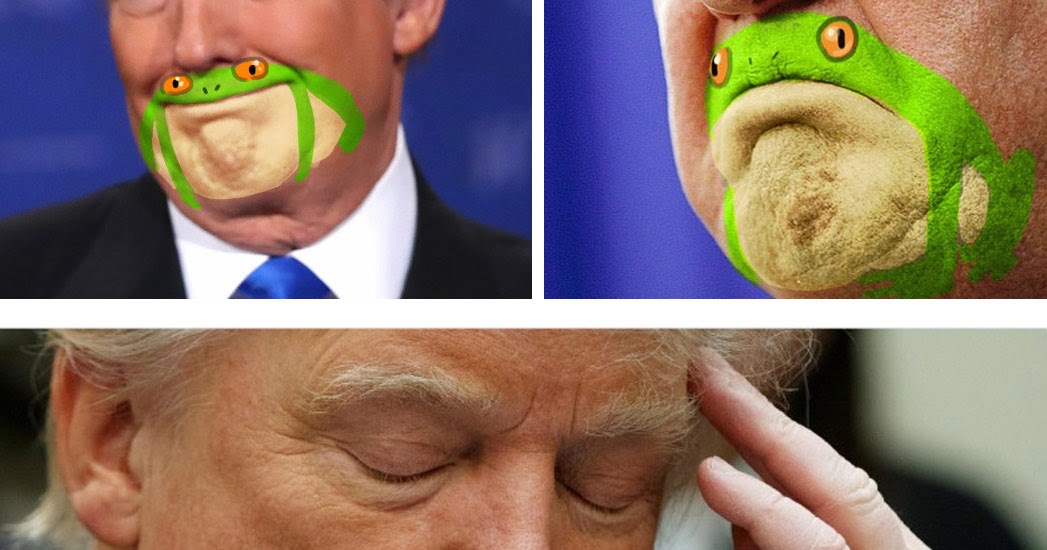 Berge's Cartoon Blog: Pepe, Meet President Frog