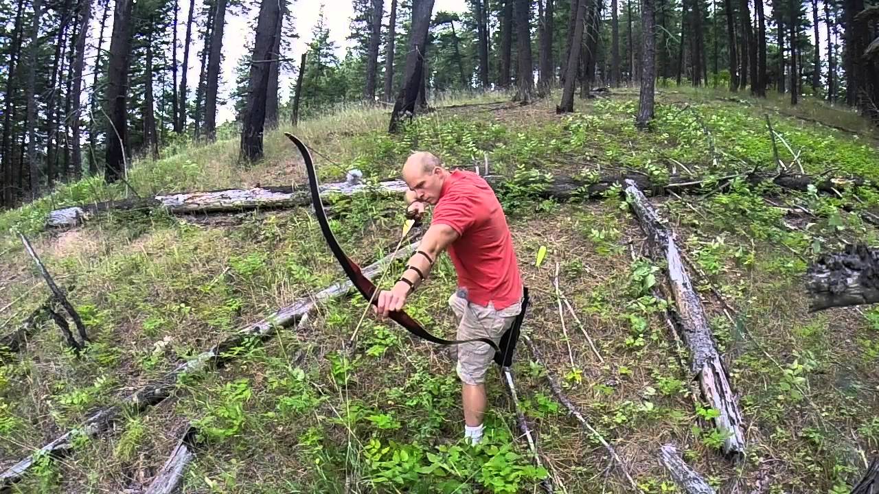 Project Gridless: An Archer's Guide to Stump Shooting