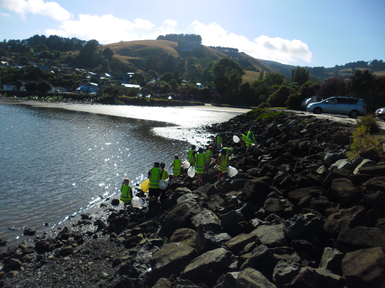 Room 1 Macandrew Bay School 2013: Beach Clean Up