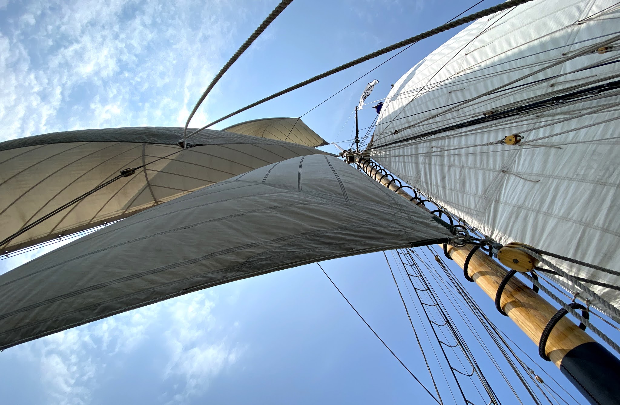 The Log of Spartina: back across the Bay