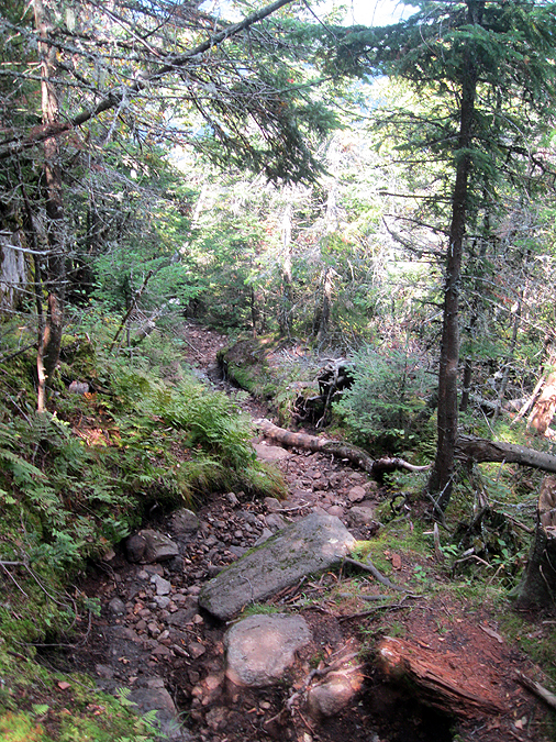 Hiking in the White Mountains: Lower Great Range Traverse (Gothics ...