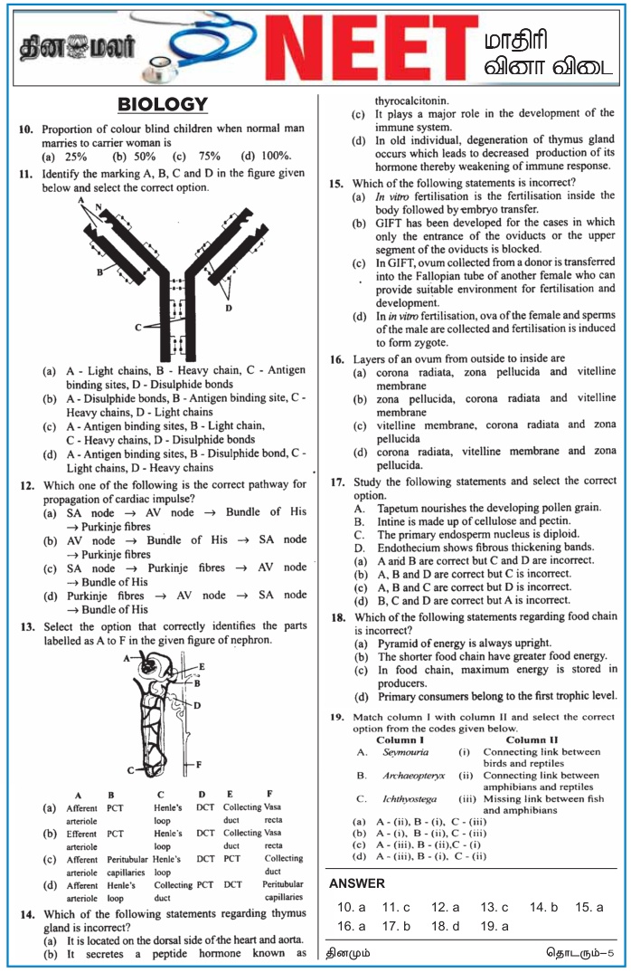 NEET 2017 Dinamalar Biology Model Question Paper 05 04 2017 JPR Notes neet-2017-dinamalar-biology-model-question-paper-05-04-2017-jpr-notes