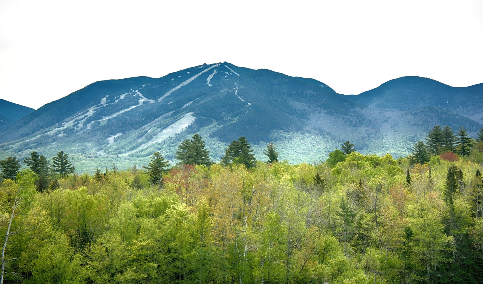 Carol's View Of New England: Spring in Sugar Hill New Hampshire