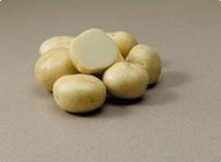 Sorita Siurang : Jenis-jenis kentang