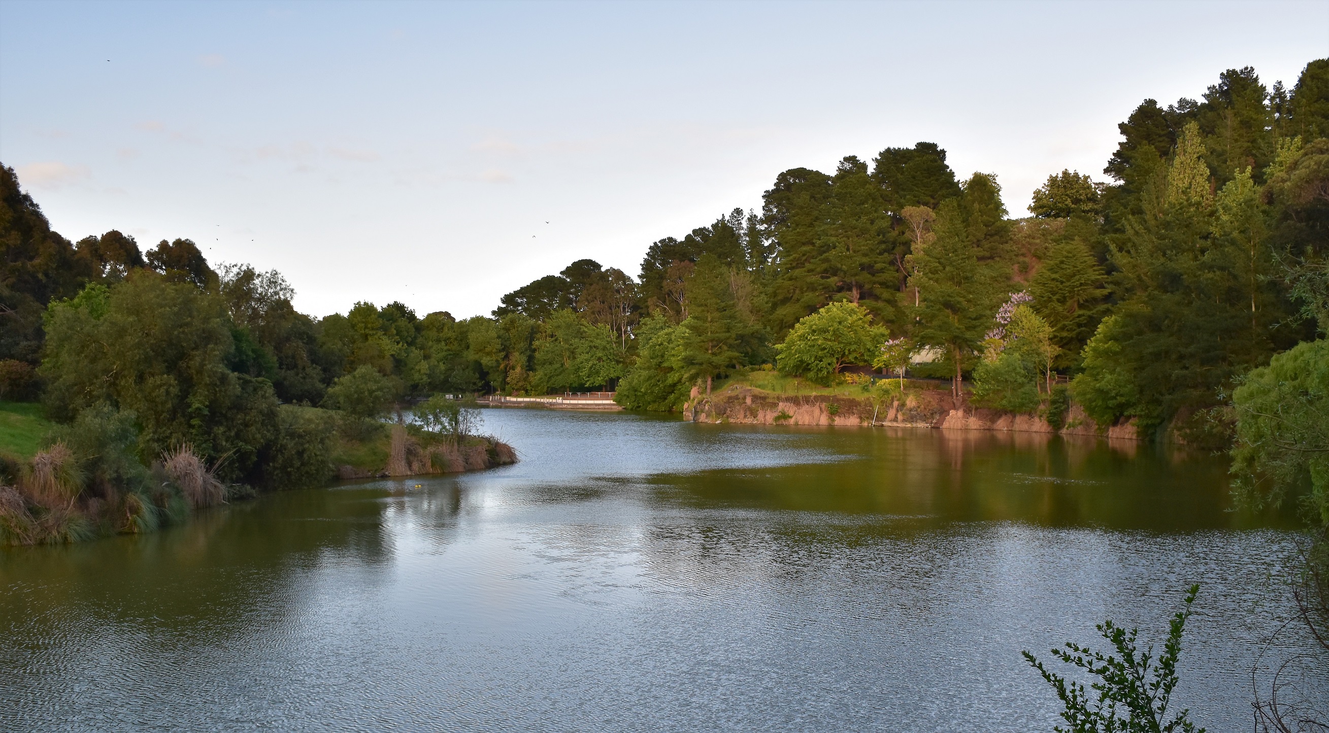 Goin' Feral One Day At A Time: Wilson Botanic Park Walk, Berwick ...