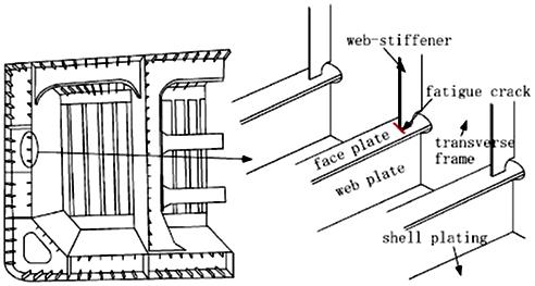 Marine Survey Practice: What to look for?