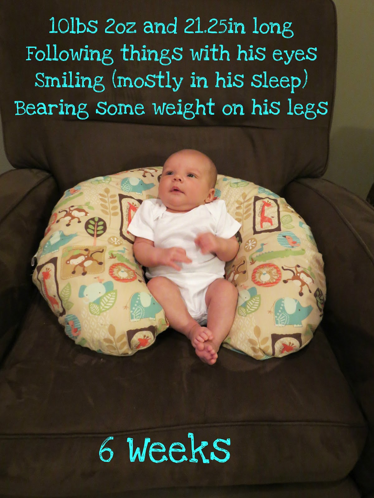 Ostroms' Odyssey: 6 Week Update