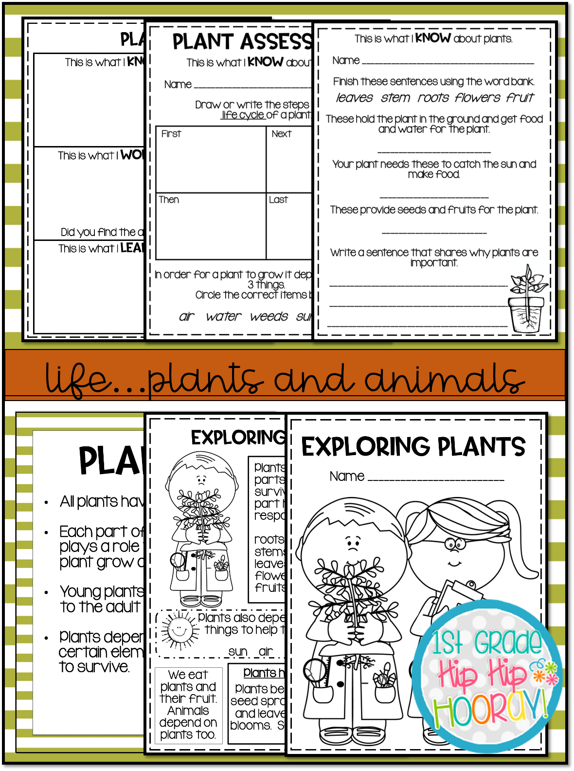 1st Grade Hip Hip Hooray!: NGSS... Life Science...Exploring Plants and ...