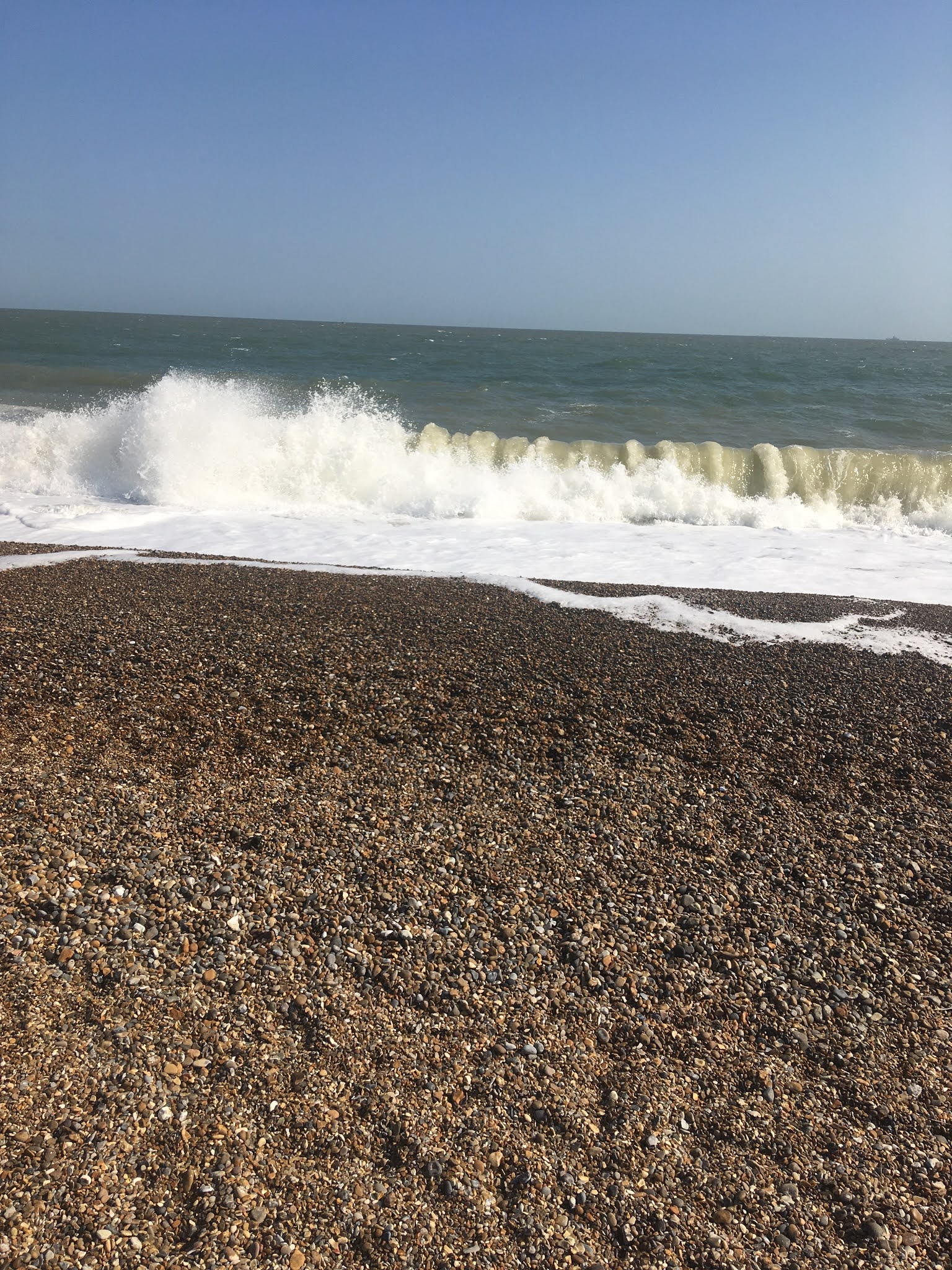 Matt Salusbury: The bells! The bells!